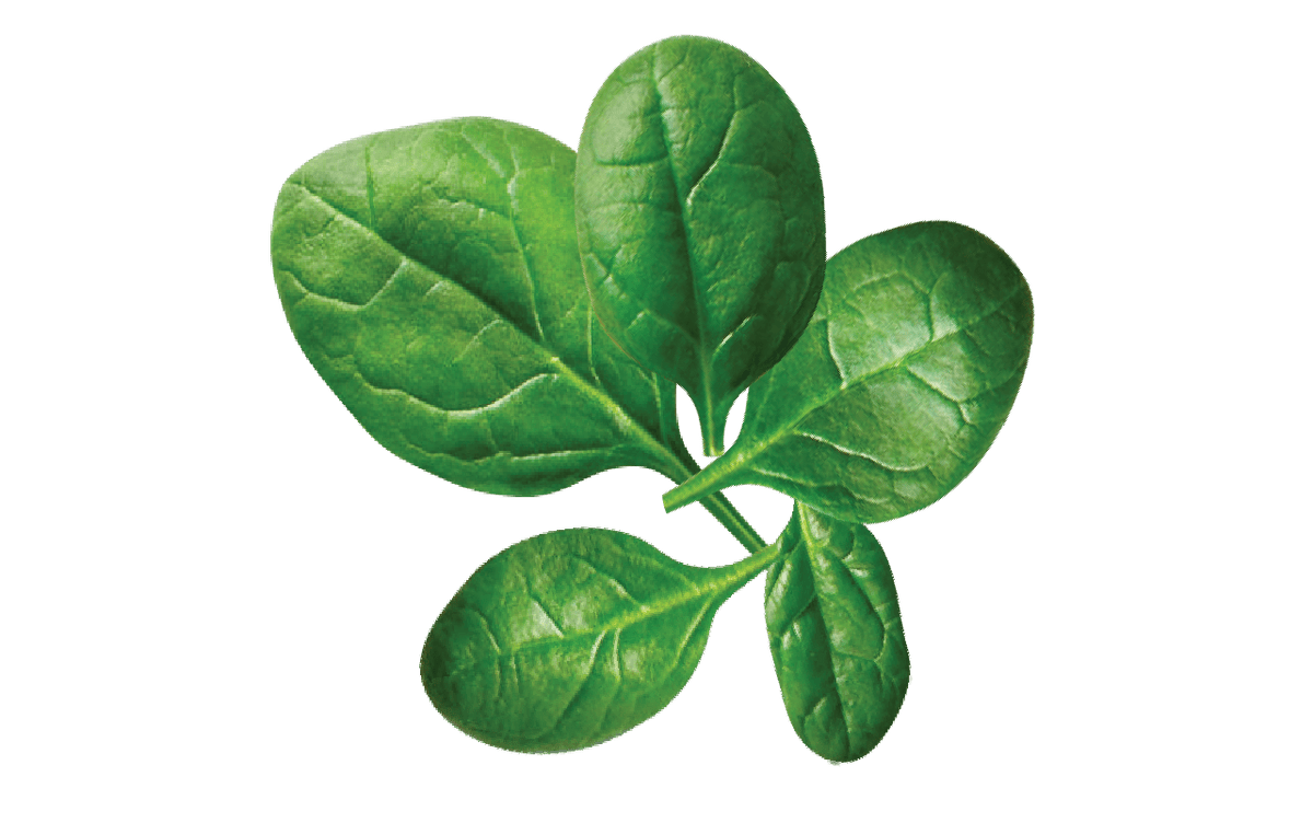 Eyetamins Blue Blocker® with Lutein, Zeaxanthin & Meso-Zeaxanthin - 30 ...